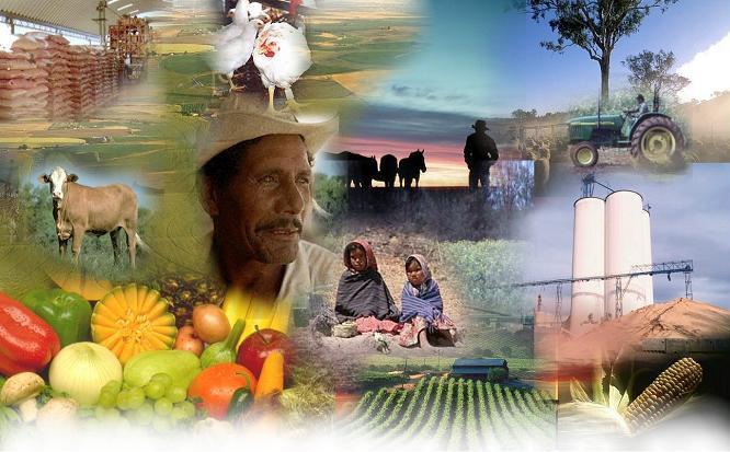 DESARROLLO RURAL: DESARROLLO RURAL: DESARROLLO RURAL